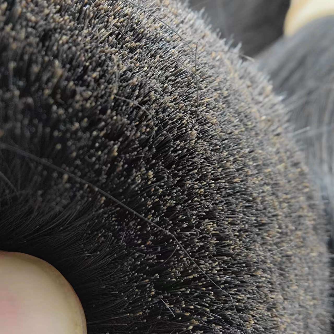 How To Test Virgin Hair The Best 5 Methods You Should Know